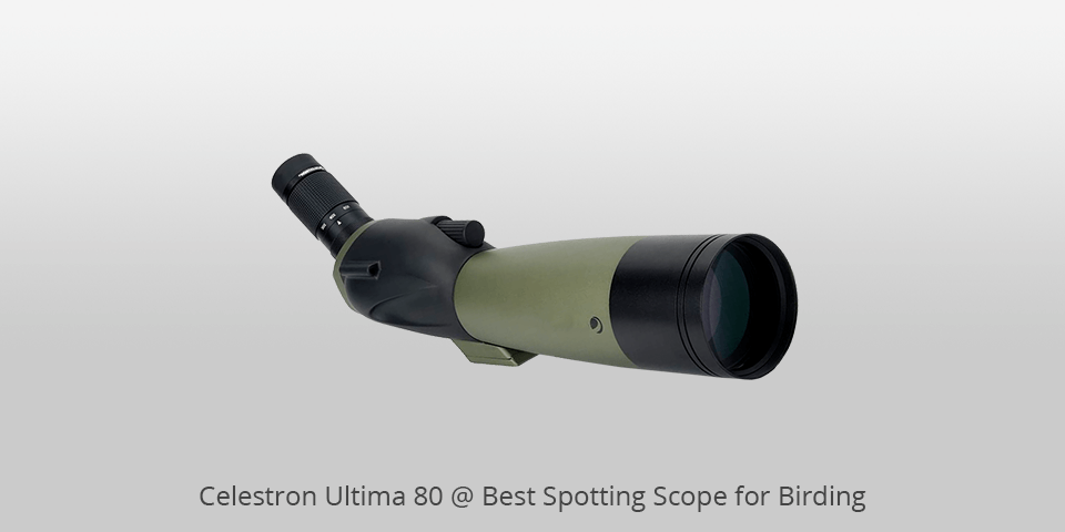 9 Best Spotting Scopes for Birding in 2025