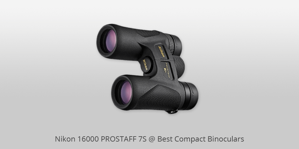 7 Best Compact Binoculars in 2025