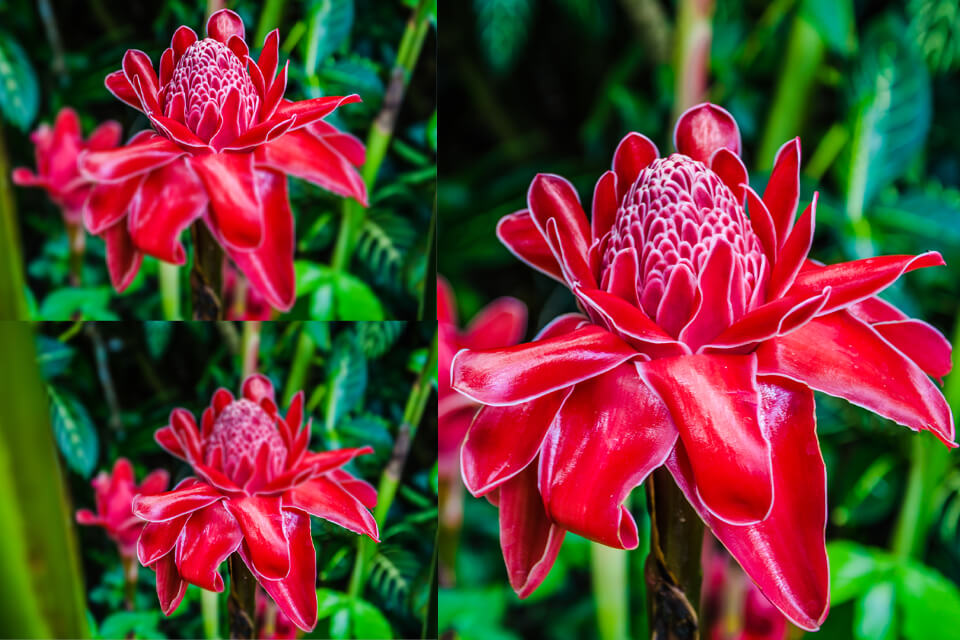 Bracketing Photography Guide: 20 FAQ