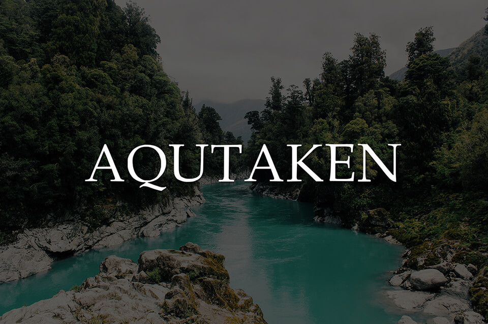 Sketch Review 2025: What Is Sketch Good for?