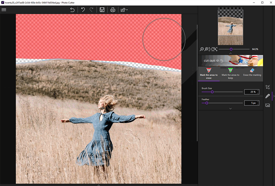 Avaliação do InPixio de 2025 - Avaliação de especialistas do InPixio ...