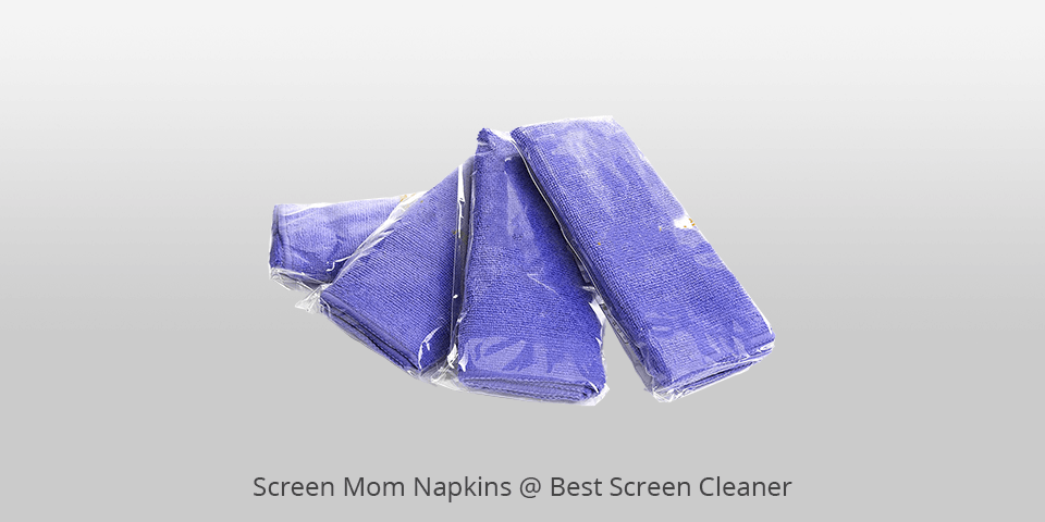 9 Best Screen Cleaners in 2025
