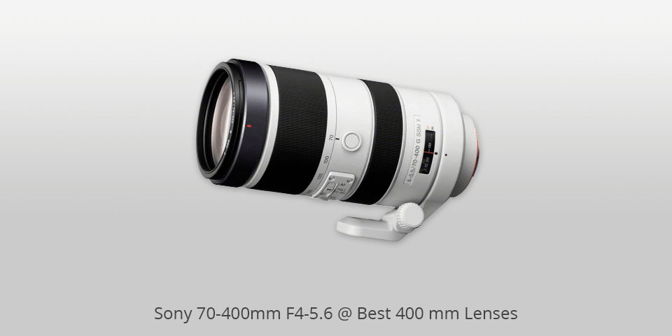 8 Best 400mm Lenses in 2025: New Models & Current Prices