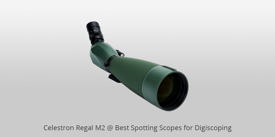 8 Best Spotting Scopes for Digiscoping in 2025
