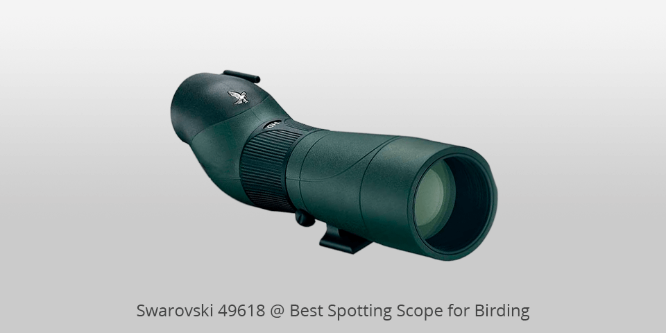 9 Best Spotting Scopes for Birding in 2025