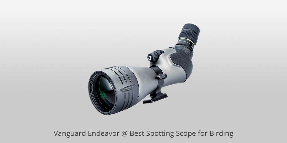 9 Best Spotting Scopes for Birding in 2025