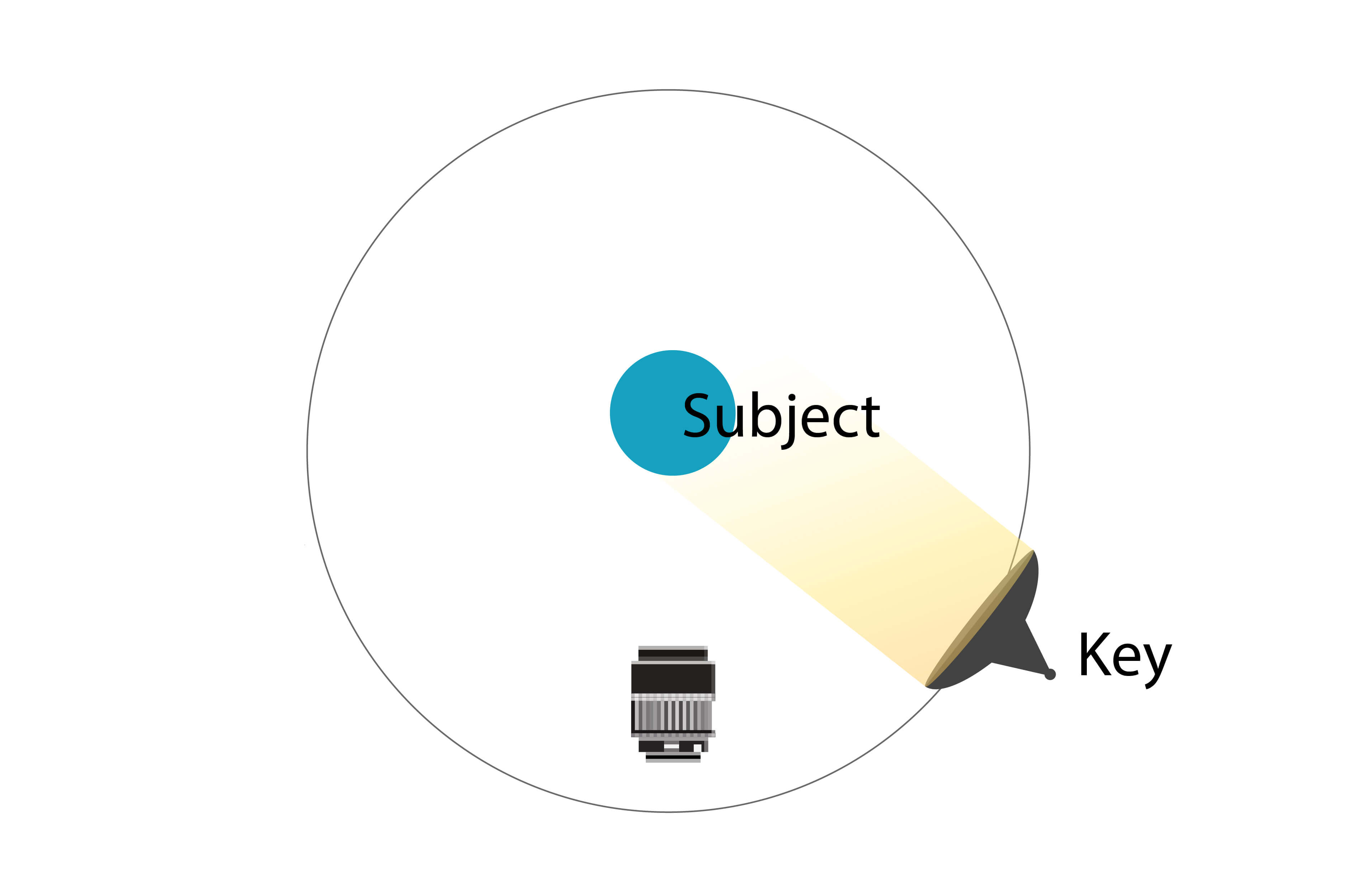 Best Light Bulbs for Photography: Tips for Choosing & Setting