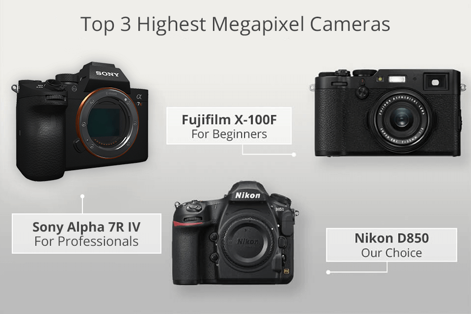 12 Highest Megapixel Cameras Do More Megapixels Mean Better Photo 