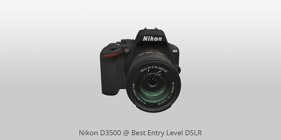 15 Best Entry Level DSLRs in 2022