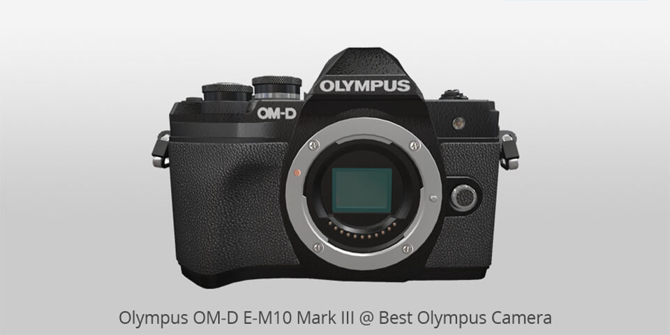 10 Best Olympus Cameras to Buy in 2025