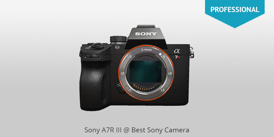 10 Best Sony Cameras for Photographers - Is Sony a Good Camera Brand ...