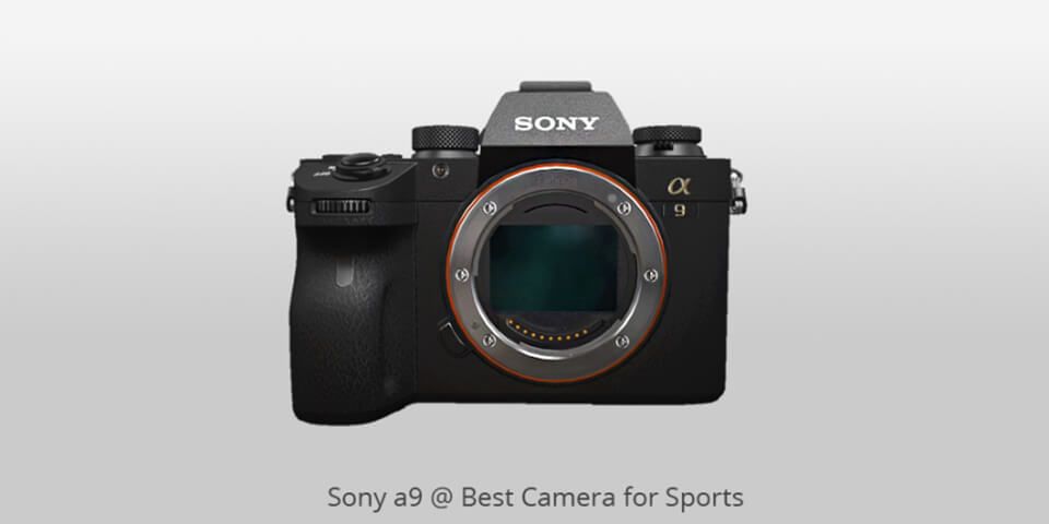 10 Best Cameras for Sports and Action Photos – What is the Best DSLR ...