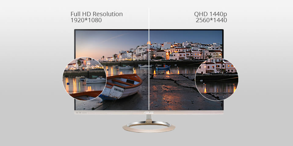 15 Best Monitors for Photo Editing in 2022