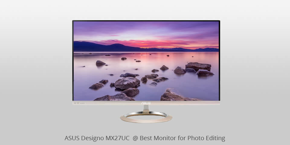 15 Best Monitors for Photo Editing in 2022