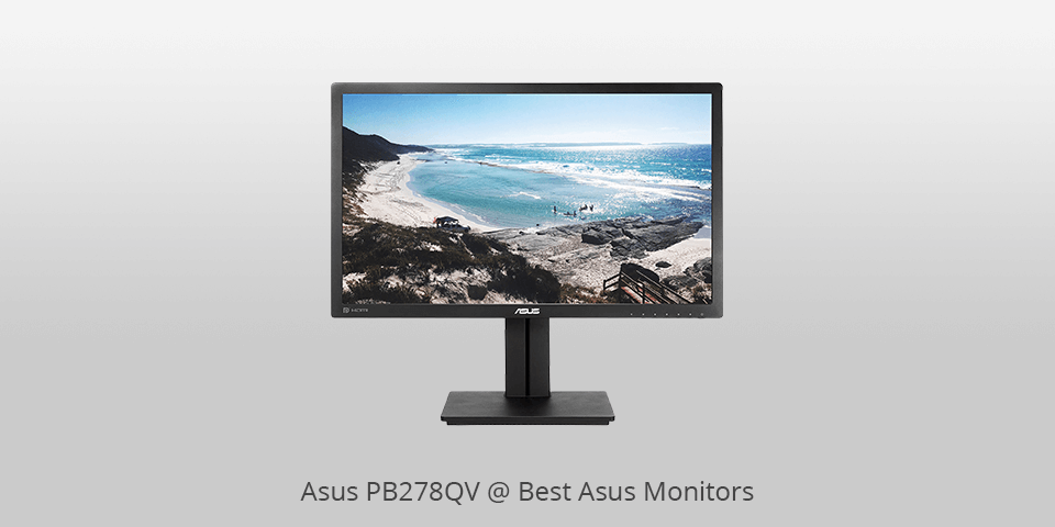 9 Best Asus Monitors in 2025