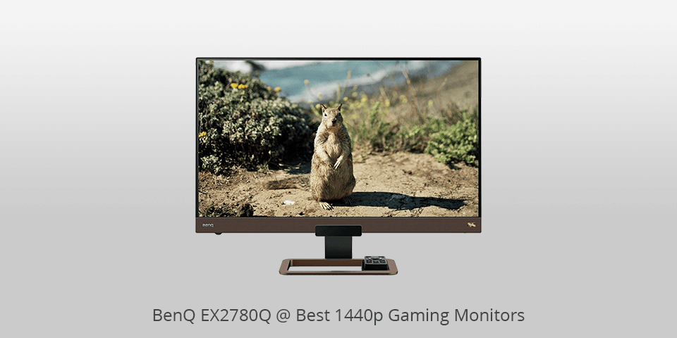 11 Best 1440p QHD Monitors in 2024
