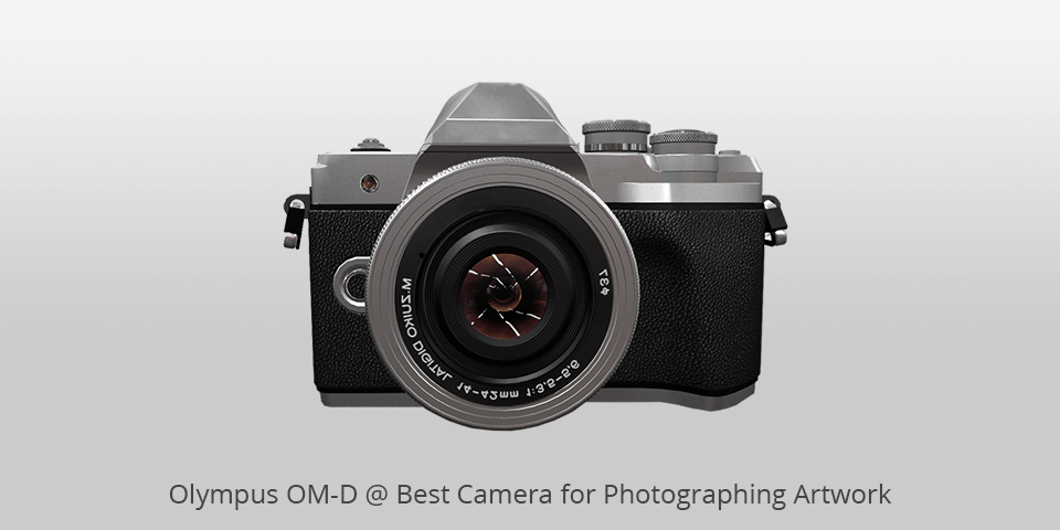8 Best Cameras for Photographing Artwork in 2023