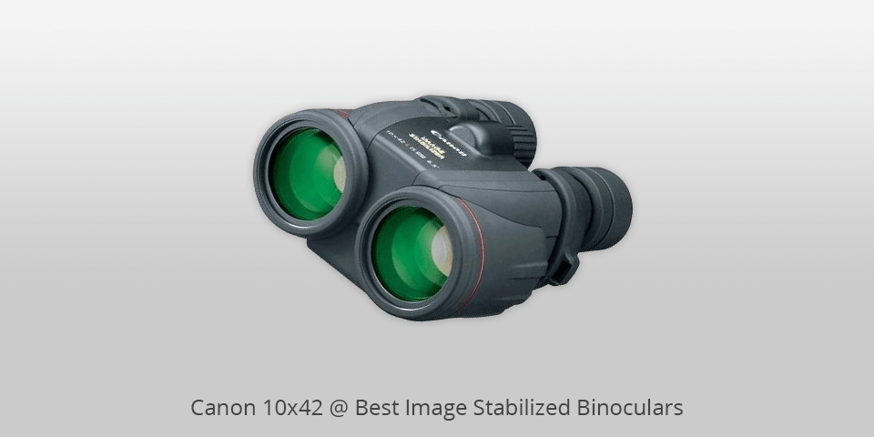 6 Best Image Stabilized Binoculars in 2020