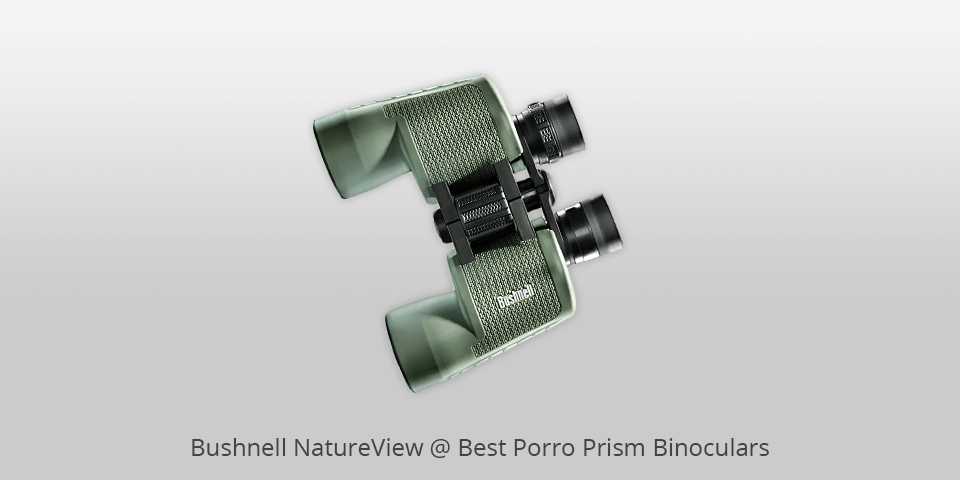 6 Best Porro Prism Binoculars in 2025