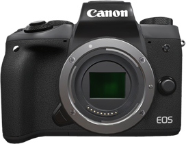 11 Best Canon Cameras for Video - What's the Best Canon Camera for ...