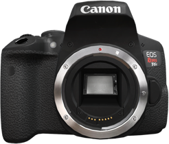 11 Best Canon Cameras for Video - What's the Best Canon Camera for ...