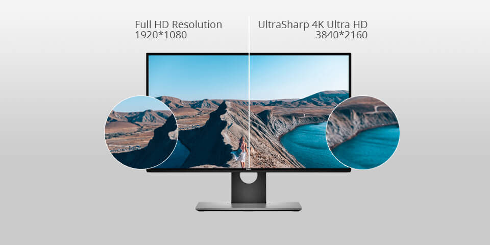 15 Best Monitors for Photo Editing in 2022