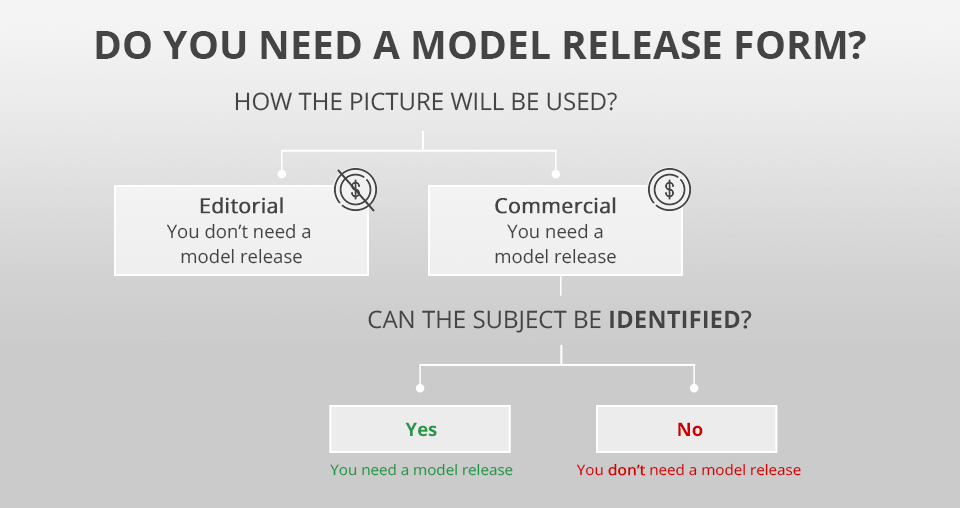 Model Release Form for Photography: 5 FREE Templates in Word + PDF