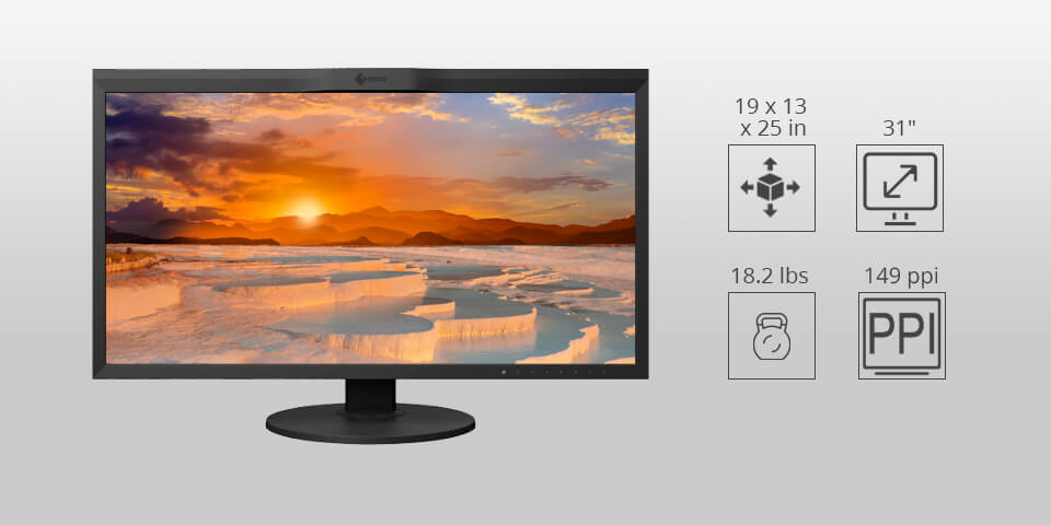 15 Best Monitors for Photo Editing in 2022