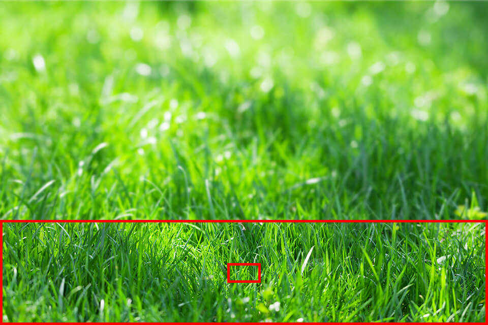 Aperture and Depth of Field – Focusing Basics