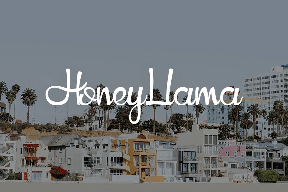 40 Free Fonts for Illustrator Designers