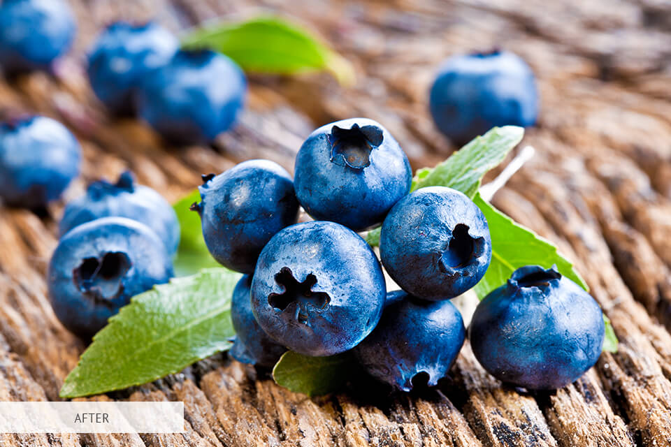 50 Macro Photography Ideas You Can Do at Home