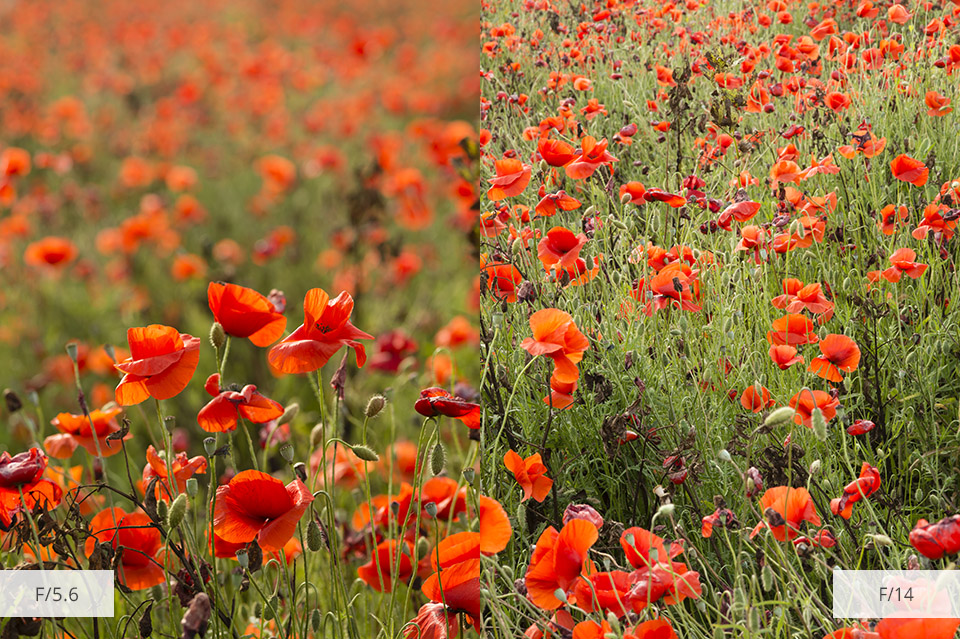 30 Tips for Taking Golden Hour Photography