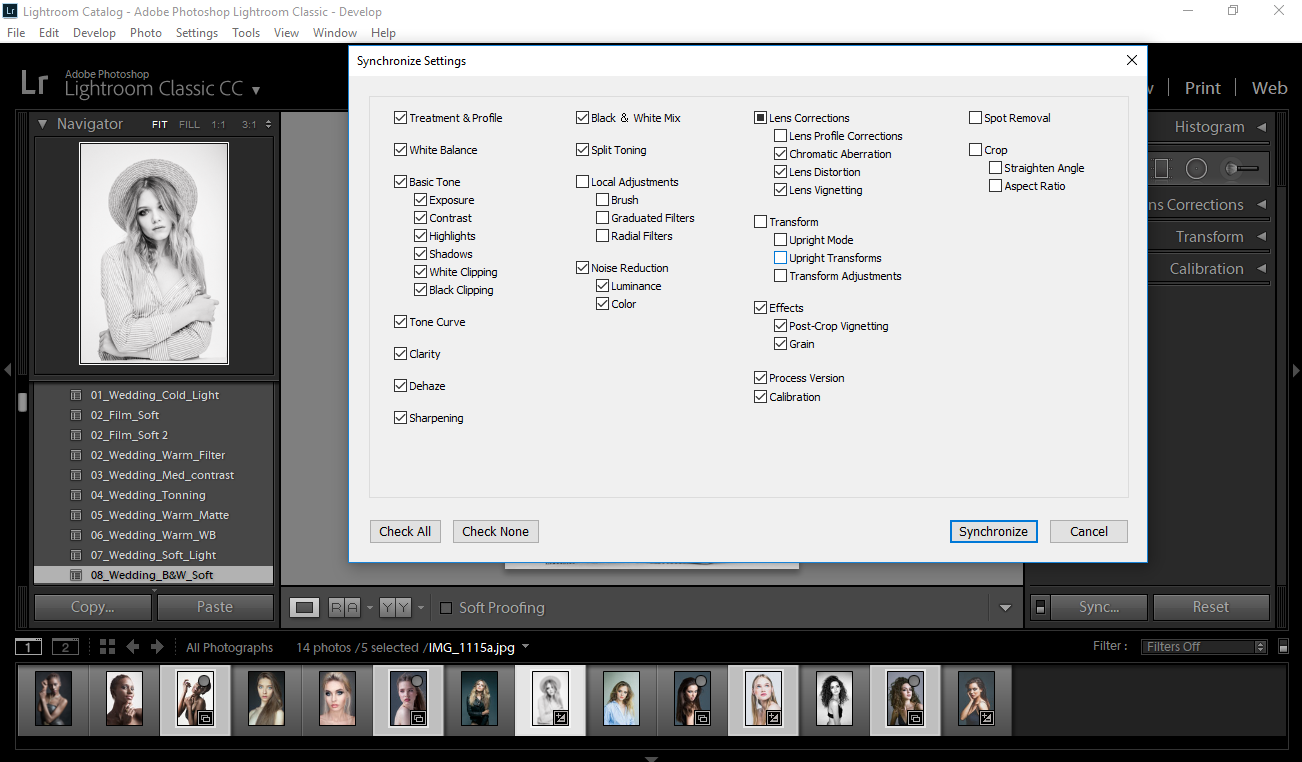 How to Use Lightroom Presets and Edit Images Fast (+FREEBIES)