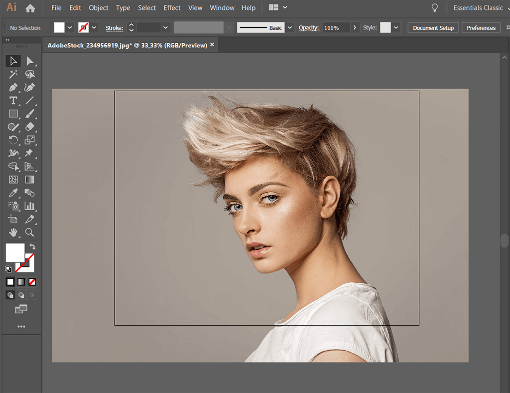 Terewcache blogg se How To Crop Image In Illustrator