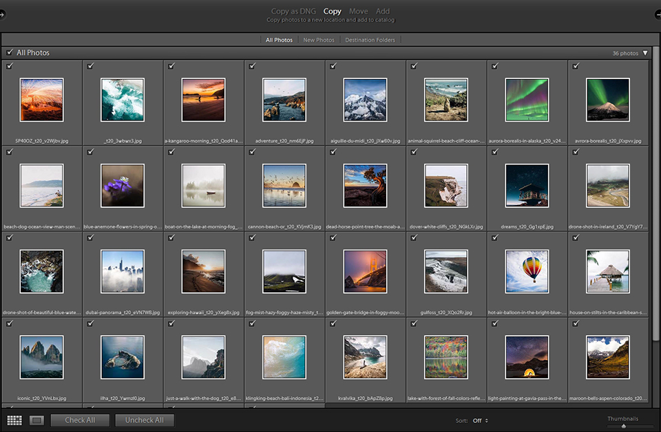 How to Make a Photomosaic in Lightroom and Photoshop (+Freebies)