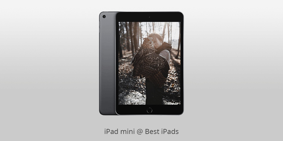 5 Best Apple iPads in 2025 - All Latest Models
