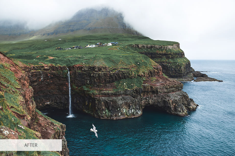 15 Nature Photography Editing Tips for Beginners