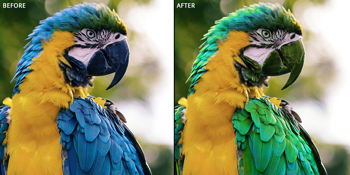 Photo Editing For Beginners - Photo Editing Tips for Beginners by ...