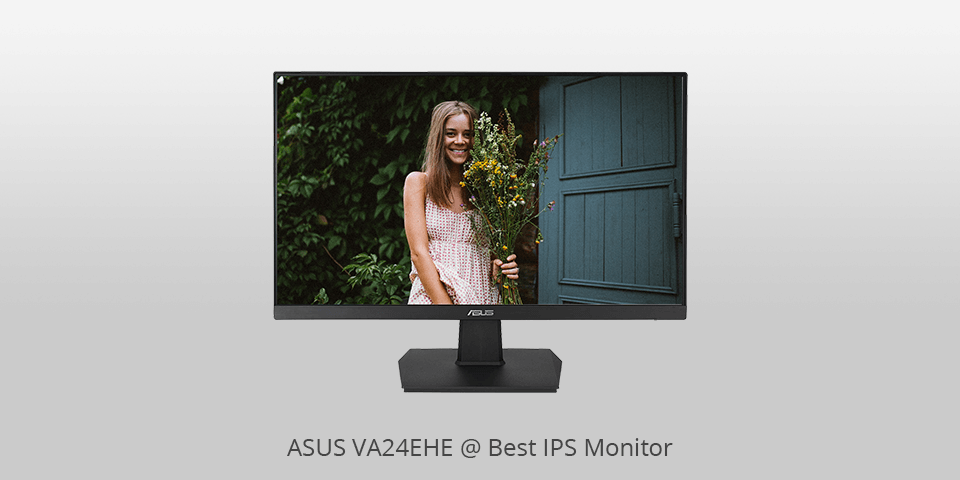 10 Best IPS Monitors in 2025