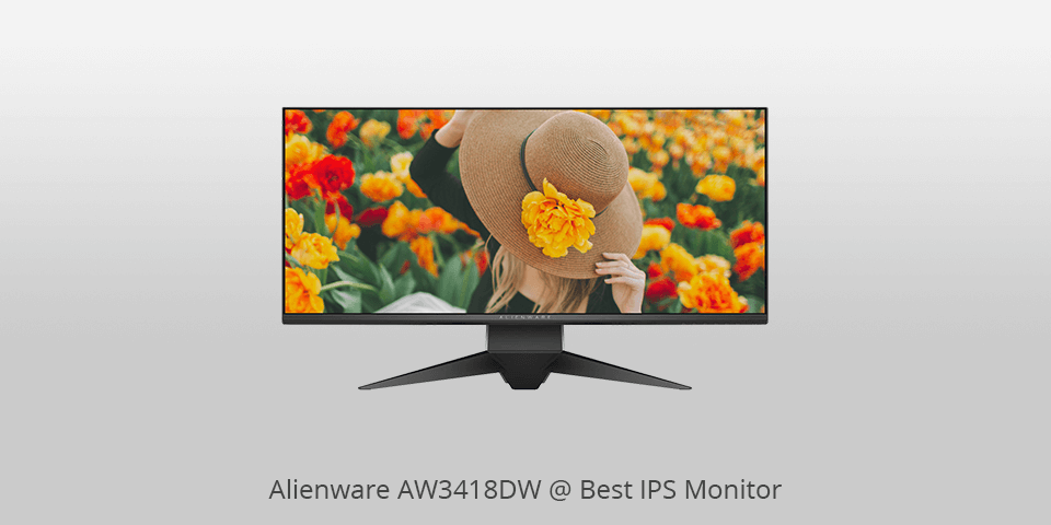 10 Best IPS Monitors in 2025