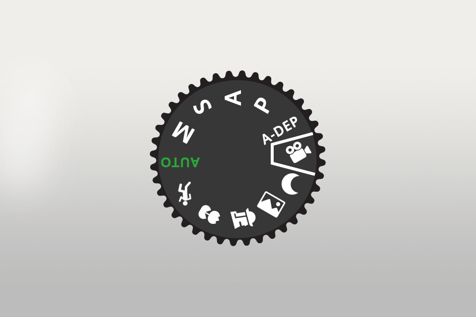 Camera Modes Guide for Amateurs