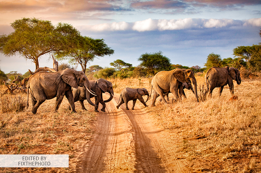 10 Nature Photography Tips for Beginners – How to Improve Your Skills?