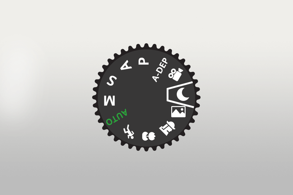 Camera Modes Guide for Amateurs