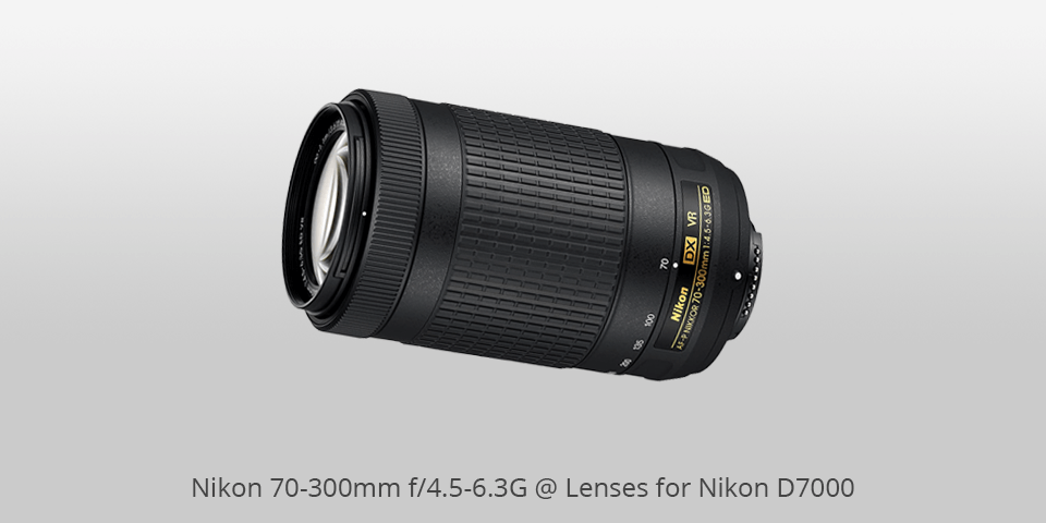 9 Best Lenses for Nikon D7000 in 2025