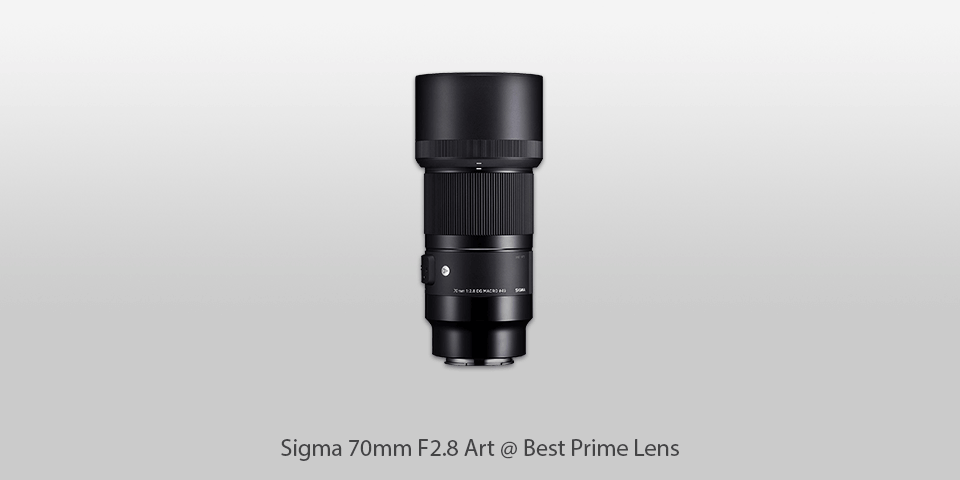 9 Best Prime Lenses in 2024: Efficient Picks For Any Purpose