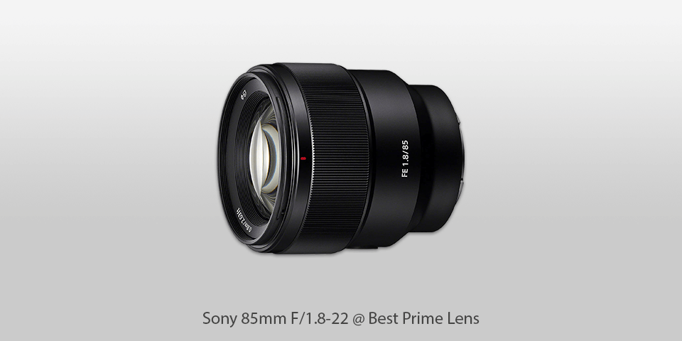 9 Best Prime Lenses in 2024: Efficient Picks For Any Purpose