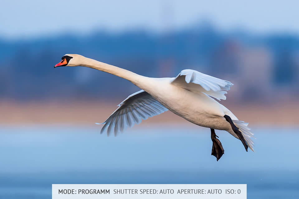 Camera Modes Guide for Amateurs