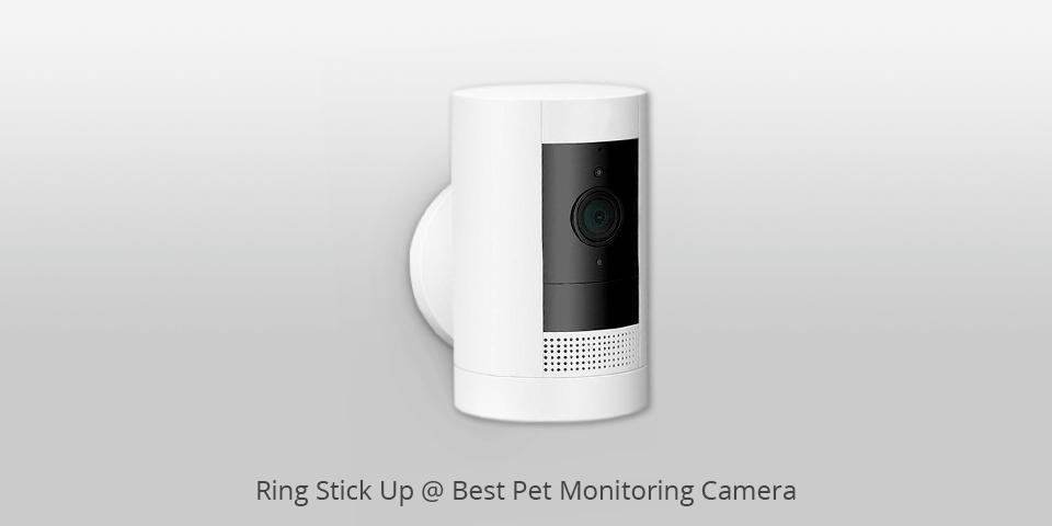 11 Best Pet Cameras For Your Money in 2025