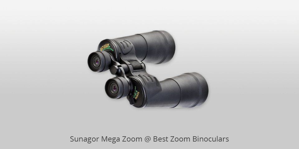 9 Best Zoom Binoculars in 2025