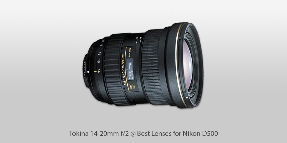 5 Best Lenses for Nikon D500 in 2025